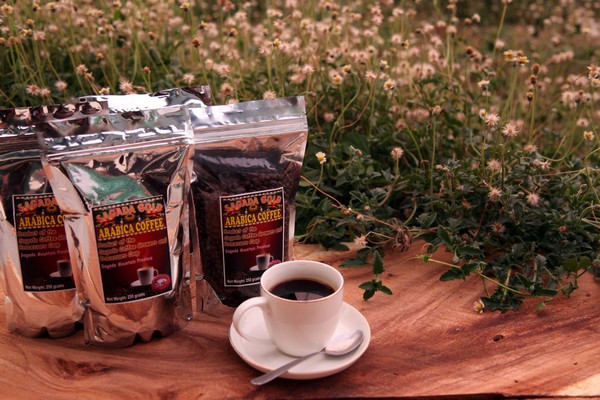 Coffee Arabica: Sagada's Best Organic Coffee