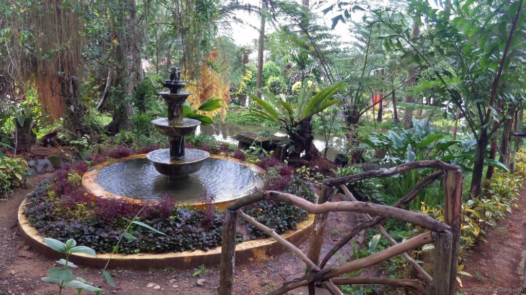 Binahon Agroforestry Farm: An Upland Farming Success! - GirlandBoyThing