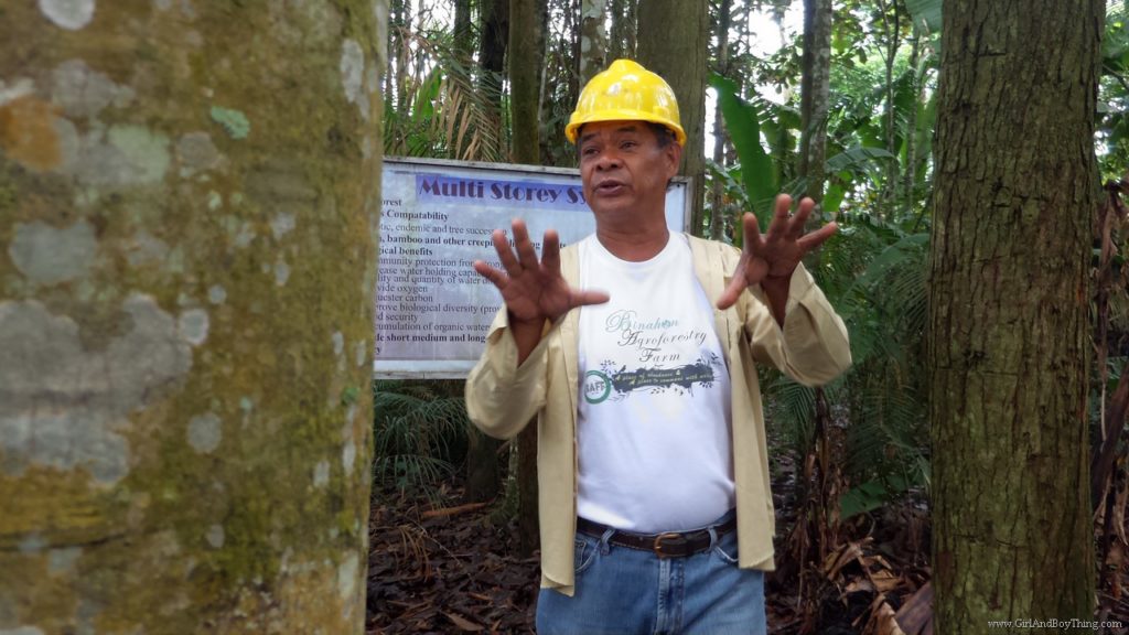 Binahon Agroforestry Farm: An Upland Farming Success! - GirlandBoyThing